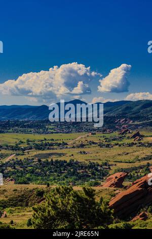 A vertical shot of the woods under a cloudy sky Stock Photo - Alamy