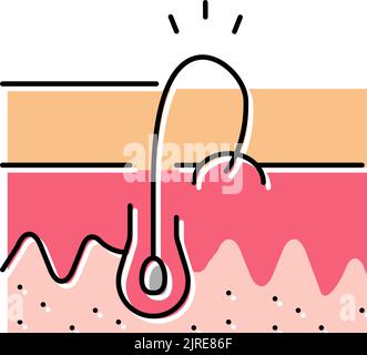 pubic hair color icon vector illustration Stock Vector Image & Art - Alamy