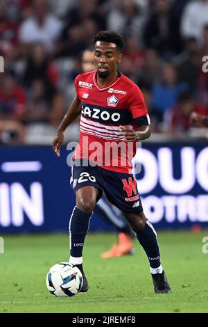 LILLE - Adilson Angel Abreu de Almeida Gomes of LOSC Lille during the ...