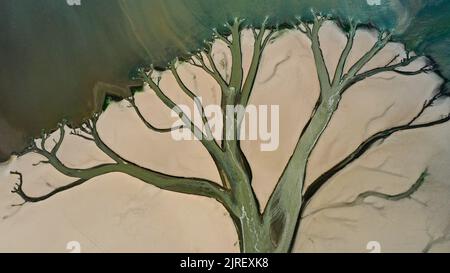 NANCHANG, CHINA - AUGUST 24, 2022 - An aerial photo shows the "tree ...