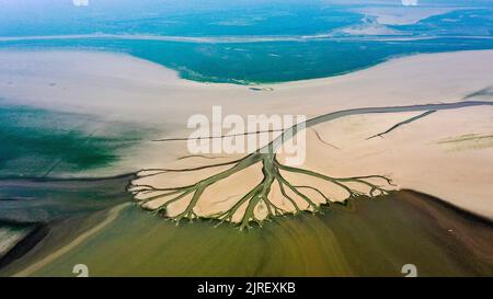 NANCHANG, CHINA - AUGUST 24, 2022 - An aerial photo shows the "tree ...