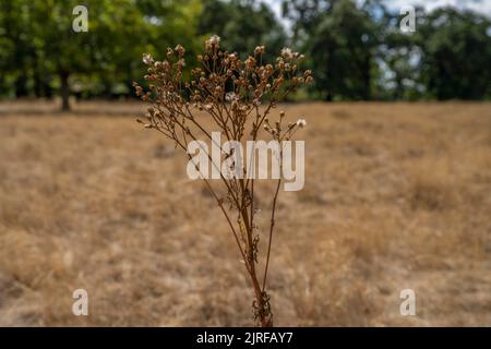 London, UK - August 24, 2022: Interior and exhibits of the Natural ...
