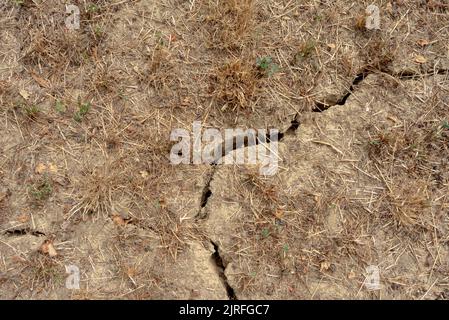 High angle shot showing a cleft on dried out ground Stock Photo - Alamy