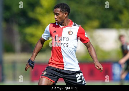 Rotterdam - Quinten Timber of Feyenoord during the match between ...