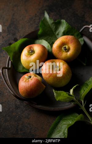 Small flattened apples on a metal tray on a dark background Stock Photo ...