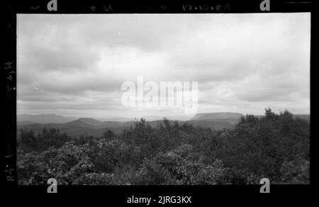 ROTORUA, NEW ZEALAND - OCTOBER 10, 2018: Traditional Maori Carved ...