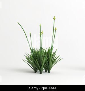 3d illustration of allium caeruleum Stock Photo - Alamy