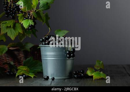 Black currant in a small bucket on a black wooden table. Copy space ...