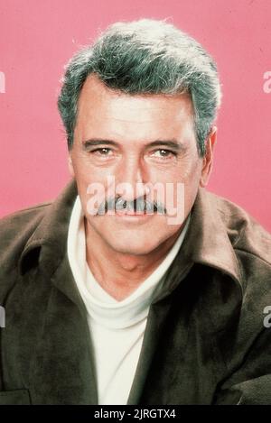 ROCK HUDSON, THE DEVLIN CONNECTION, 1982 Stock Photo - Alamy
