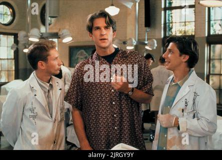 MATTHEW MODINE, GROSS ANATOMY, 1989 Stock Photo - Alamy
