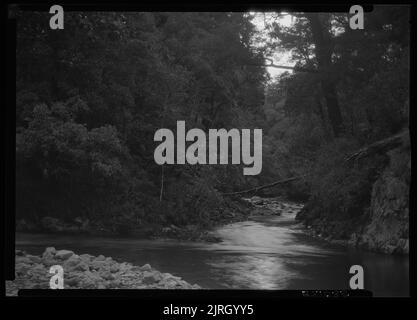 Quoin-Alpha-Tauherenikau trip : February 1931-March 1931, February 1931 ...