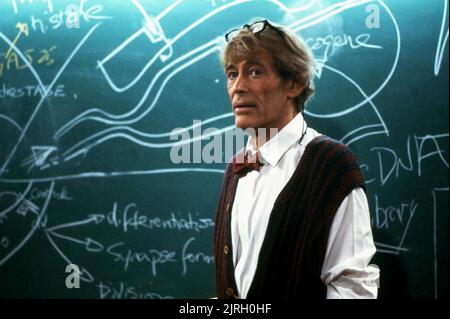 CREATOR, Peter O'Toole, 1985 Stock Photo - Alamy