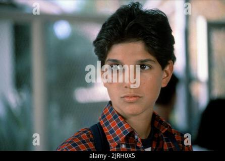 THE KARATE KID Ralph Macchio as Daniel LaRusso, Pat Morita as Mr ...