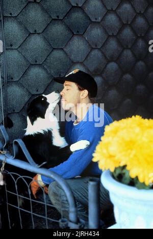 TOM HULCE, DOMINICK AND EUGENE, 1988 Stock Photo - Alamy