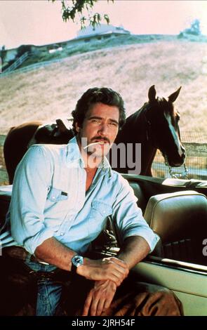 MATT HOUSTON, Lee Horsley, 1982-85, © ABC / Courtesy: Everett ...