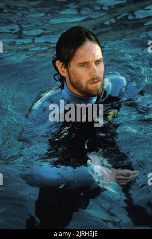 JAWS: THE REVENGE 1987 Universal Pictures film Stock Photo - Alamy