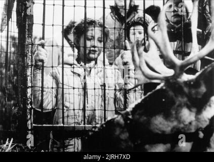 REBECCA HARRELL TICKELL, PRANCER, 1989 Stock Photo - Alamy