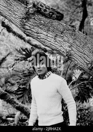 PETER BARTON, THE POWERS OF MATTHEW STAR, 1982 Stock Photo - Alamy