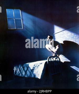 MATTHEW MODINE, BIRDY, 1984 Stock Photo - Alamy