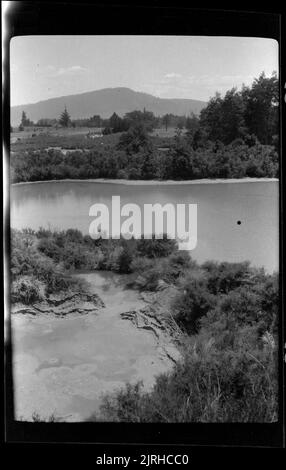 [North Island lake], 1920s-1930s, North Island, by Roland Searle Stock ...