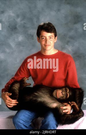 MATTHEW BRODERICK, CHIMPANZEE, PROJECT X, 1987 Stock Photo - Alamy
