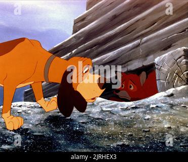 THE FOX AND THE HOUND, Copper, Tod, 1981, ©Walt Disney Pictures ...