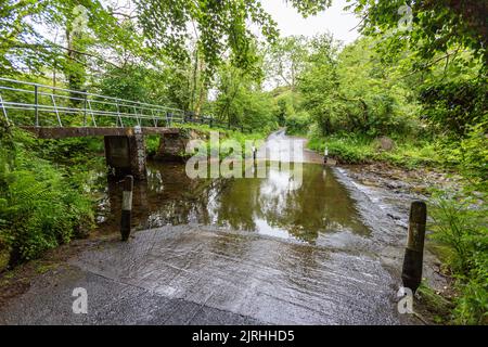 Afon Brynberian river flooding the road, Crymych, Wales, UK Stock Photo ...