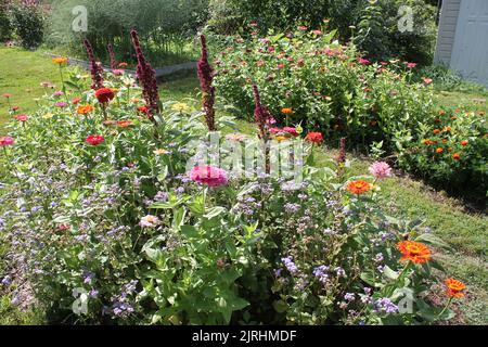 Butterfly Garden in New England Stock Photo - Alamy