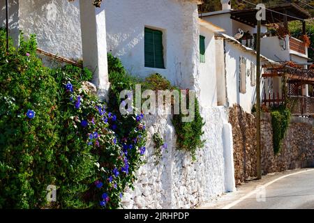 Traditional white facades andalusian village in Jaen. Torres, Spain tourism Stock Photo - Alamy