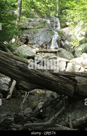 Fallingwater Cascades along the Blue Ridge Parkway, VA, USA Stock Photo ...