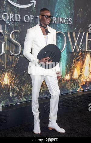 NEW YORK, NEW YORK - AUGUST 23: Roze Traore attends "The Lord Of The ...