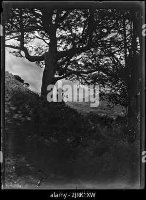 Peter Pan on Mt Eden , 1928, Auckland, by J.W. Chapman-Taylor Stock ...