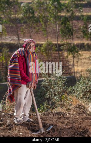 Side view of senior Peruvian male farmer in traditional clothes using ...