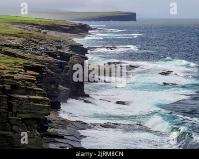 Rock cliffs at Marwick, Orkney mainland, showing strata Stock Photo - Alamy