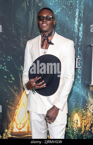Roze Traore attends the New York special screening of “The Lord of The ...