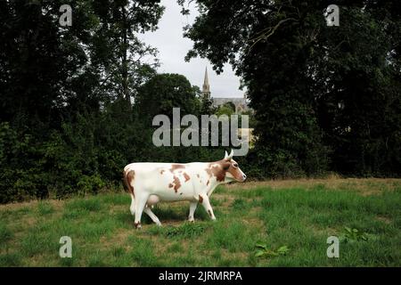 Fake Plastic cows at Washbrooks Family Farm Stock Photo - Alamy