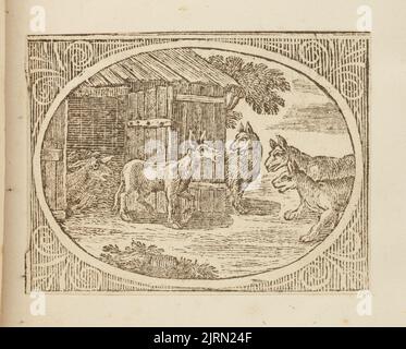 Wood engraving, England, by Thomas Bewick Stock Photo - Alamy