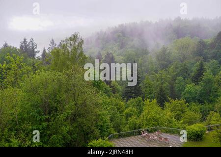 Landscape photos of German forest photographed in Bavaria Nature Park ...