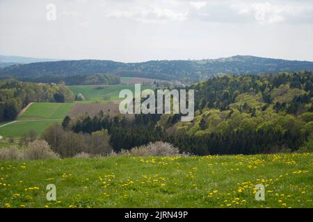 Landscape photos of German forest photographed in Bavaria Nature Park ...