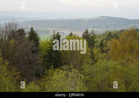 Landscape photos of German forest photographed in Bavaria Nature Park ...