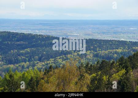 Landscape photos of German forest photographed in Bavaria Nature Park ...