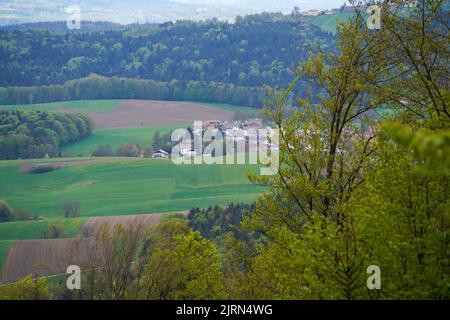 Landscape photos of German forest photographed in Bavaria Nature Park ...