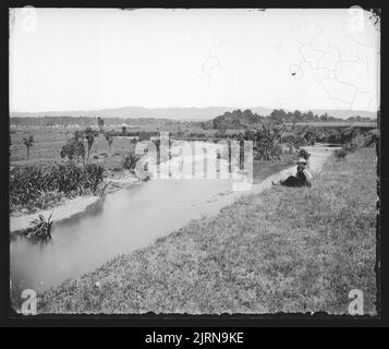 Wairarapa Plains and Waipoua River from the Opaki Ridge, Masterton, NZ ...