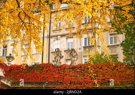 old statues and colorful autumn foliage in Vienna Austria Stock Photo ...