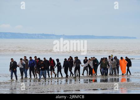 A group of people thought to be migrants walk through the Border Force ...