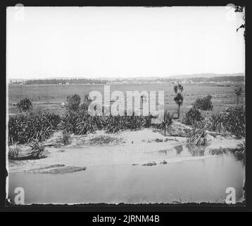 View of Masterton, circa 1875, Masterton, by James Bragge Stock Photo ...