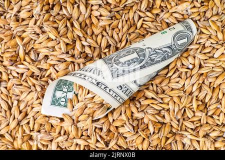 A rolled up dollar bill with barley grains sprinkled into it Stock ...