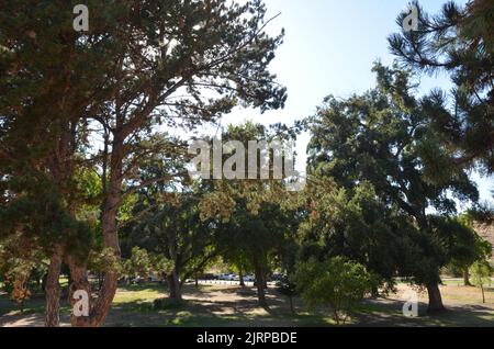landscape pictures taken at Lost Lake CA Stock Photo - Alamy