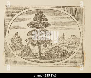 Wood engraving, Thomas Bewick, artist, England, wood engraving Stock ...