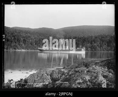 Cuttle Cove, Preservation Inlet, N.Z., by Muir & Moodie, Burton ...